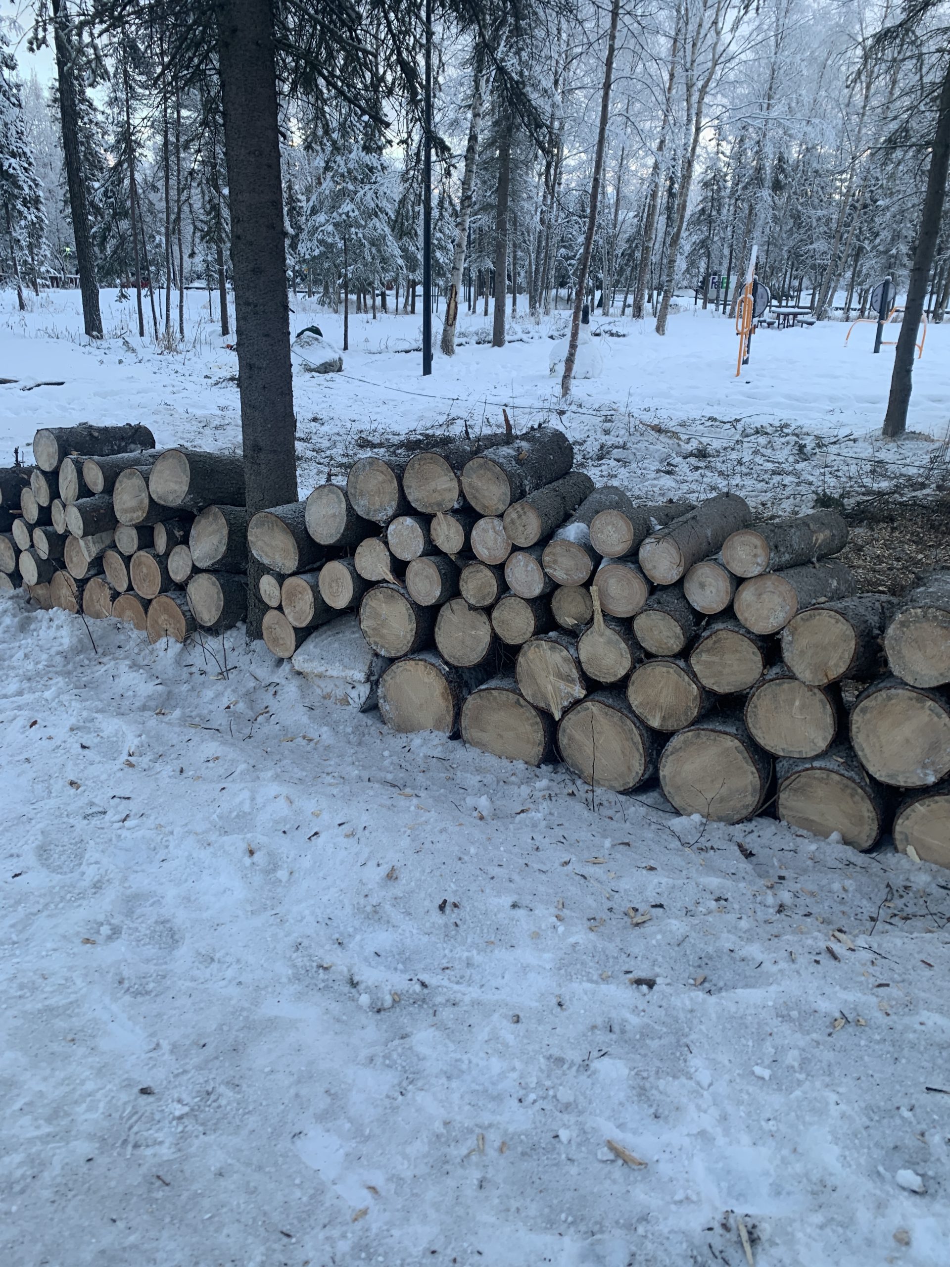 Winter Tree Care Opportunities - GAGE TREE SERVICE