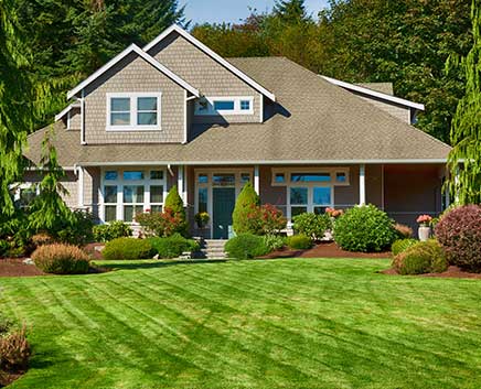 Gage Tree Service | Anchorage, Wasilla AK | Tree Care, Pest Control